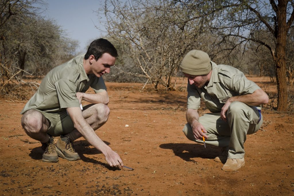 FGASA field guide Program - Auslandspraktikum.de